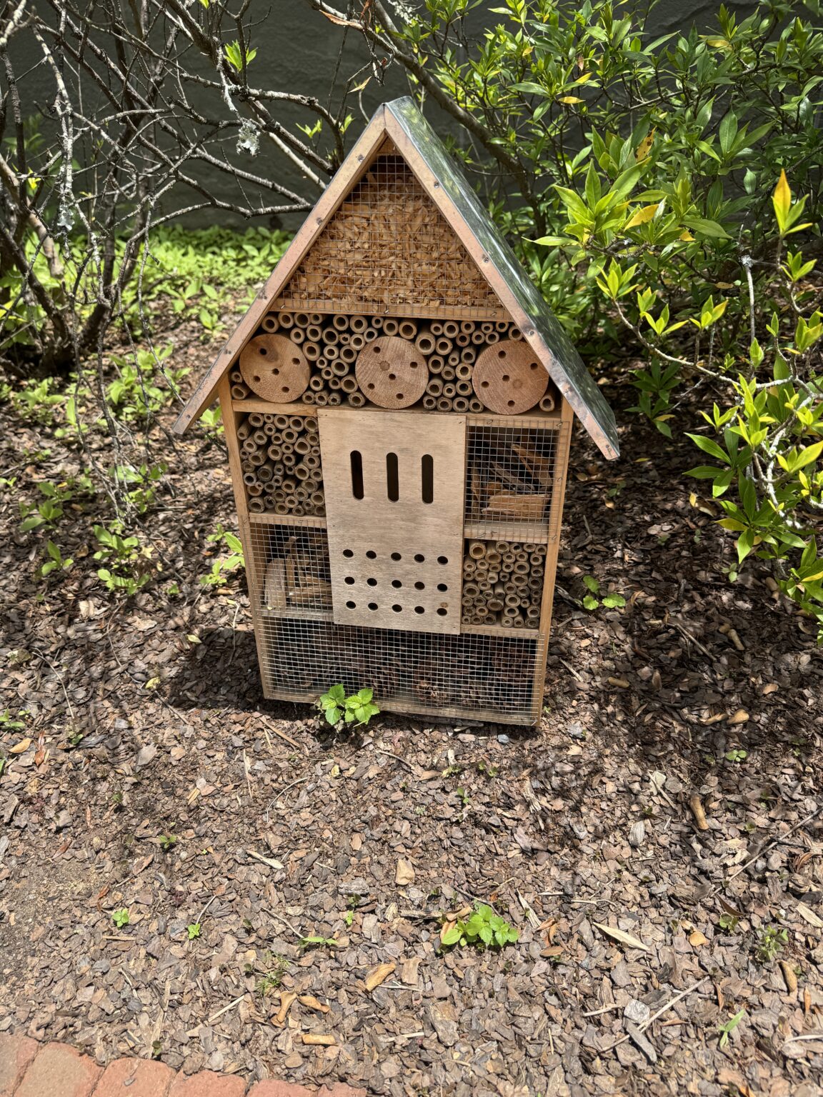 57 STEM Activities for Kids of All Ages and Interests