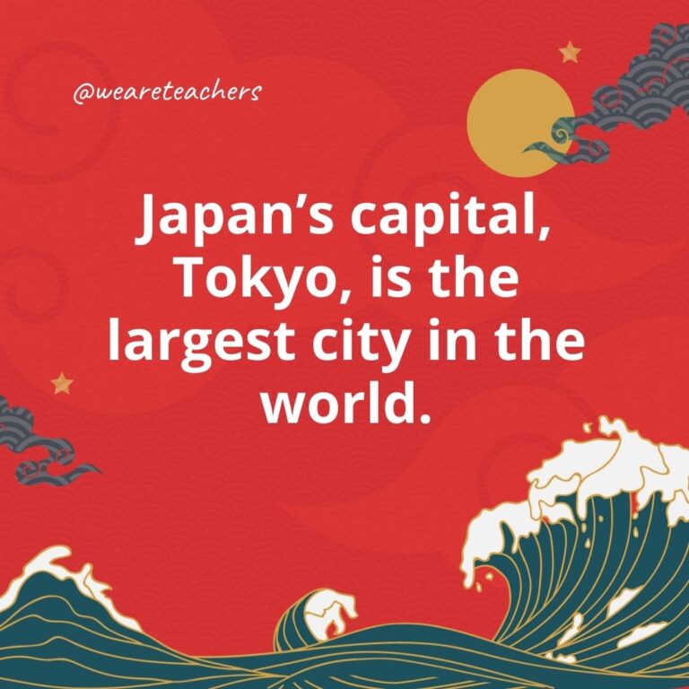 50+ Fun Facts About Japan That Will Amaze and Surprise You