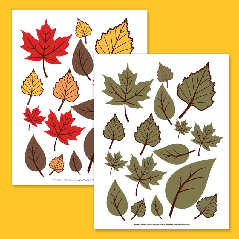 Free Printable Leaf Template Bundle for Fall