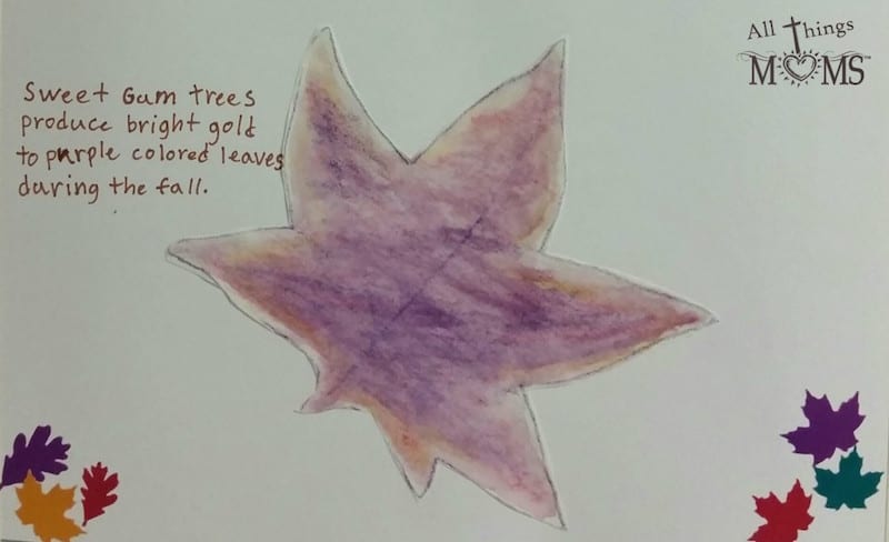 12 Leaf Projects to Teach Great Lessons in Your Classroom