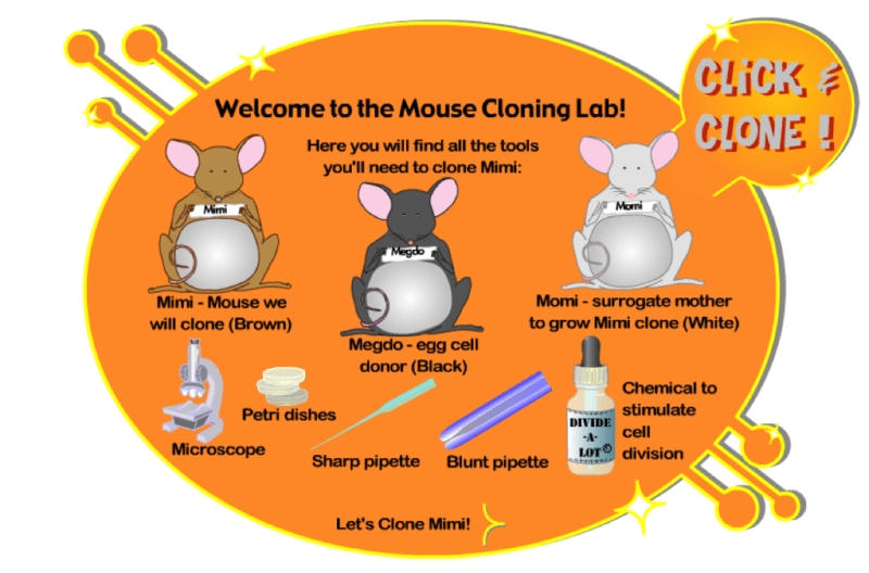 Best Virtual Lab Activities for the Classroom - WeAreTeachers