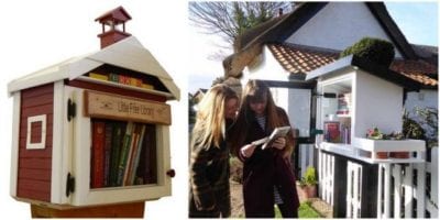 Little Free Library Ideas for Schools - WeAreTeachers