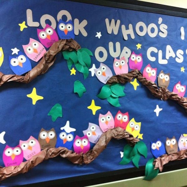 Owl-Themed Classroom Ideas - Classroom Bulletin Boards and Decor
