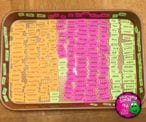 27 Magnet Activities and Ideas for the Classroom - WeAreTeachers