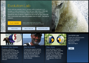 Best Virtual Lab Activities for the Classroom - WeAreTeachers