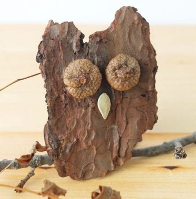 25 Fun and Easy Nature Crafts and Activities