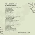 80 Beautiful Poems About Nature