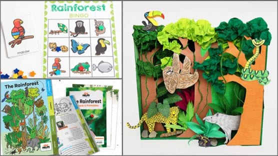 Best Rainforest Books for Kids, As Chosen by Educators