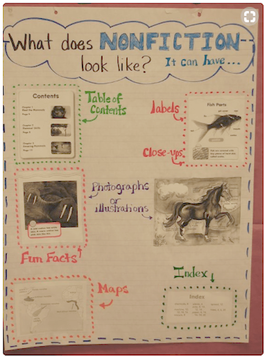 22 Kindergarten Anchor Charts You'll Want to Recreate