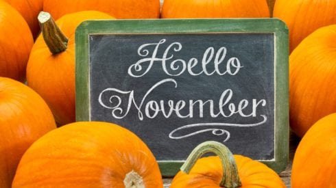 Fun and Quirky November Holidays Teachers Need to Know About