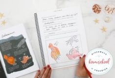 34 Ocean Activities, Experiments, and Crafts for Kids To Dive Into