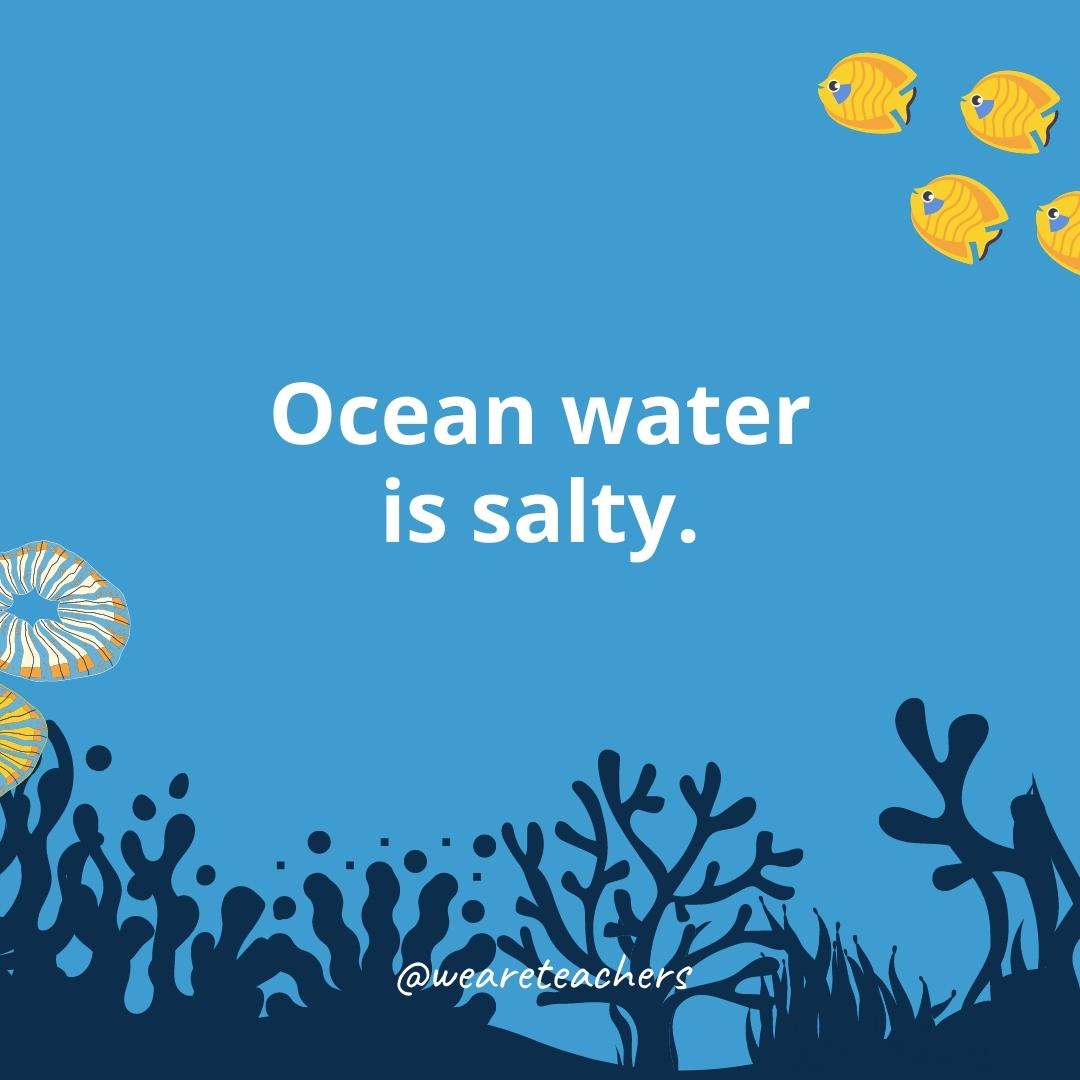 53 Ocean Facts That Will Amaze You