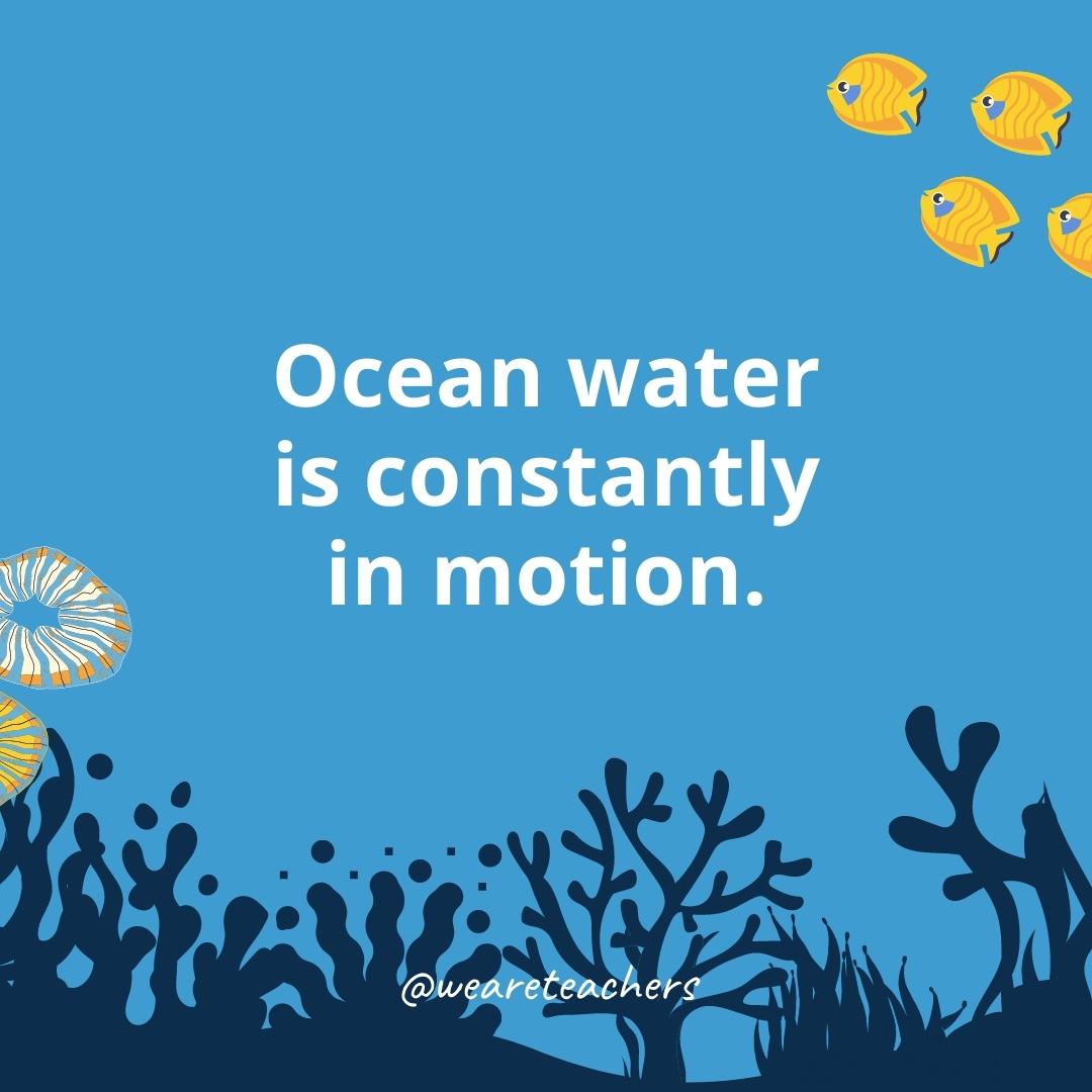 53 Ocean Facts That Will Amaze You