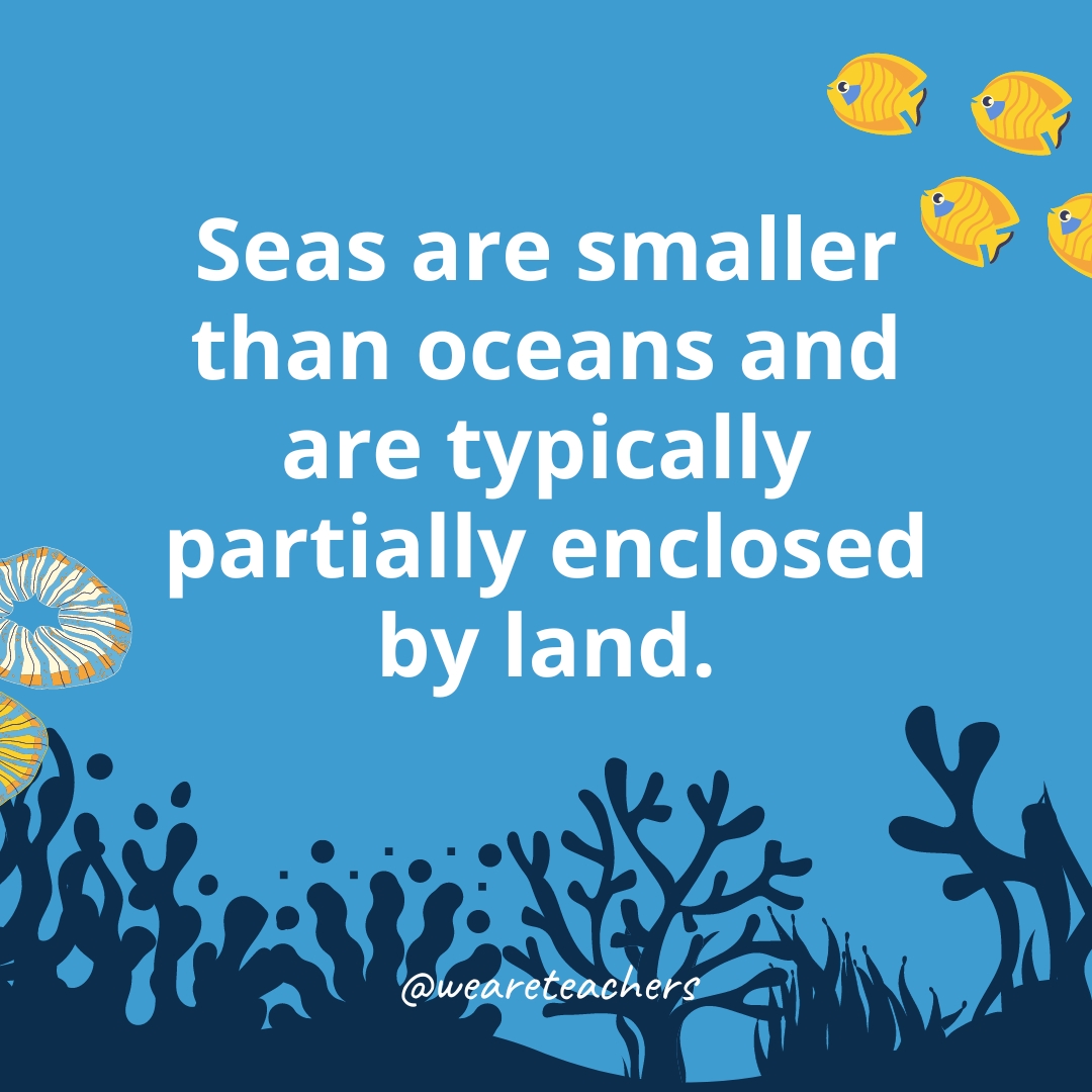 53 Ocean Facts That Will Amaze You