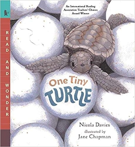 Best Ocean Books for Kids, as Chosen by Educators
