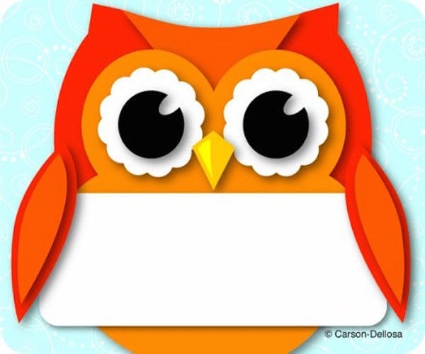 Owl-Themed Classroom Ideas - Classroom Bulletin Boards and Decor