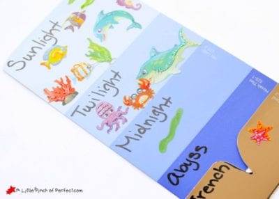 25 Colorful and Cool Paint Chip Crafts and Learning Activities