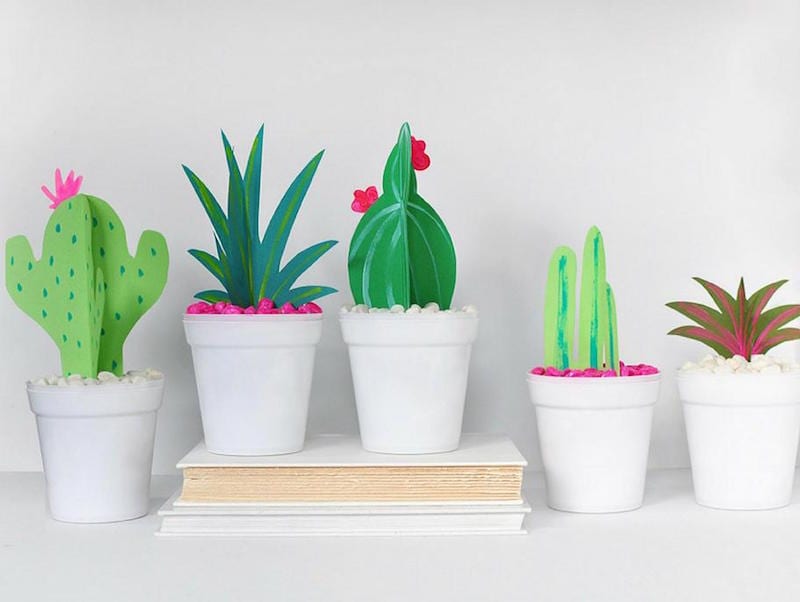 30 Cactus Classroom Theme Ideas - WeAreTeachers