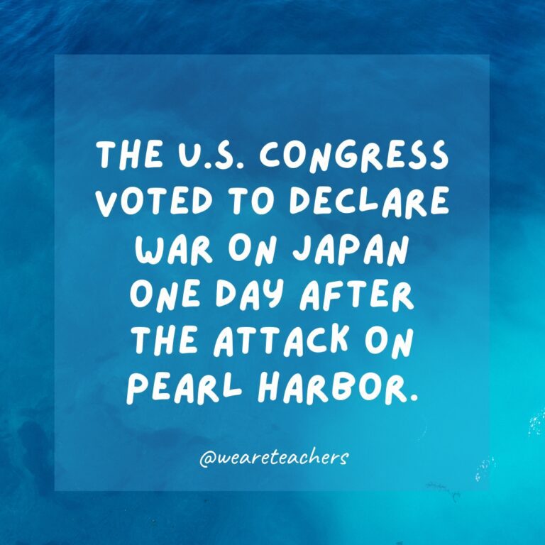Pearl Harbor Facts for Kids of All Ages
