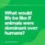 125 Philosophical Questions To Encourage Critical Thinking and Self ...