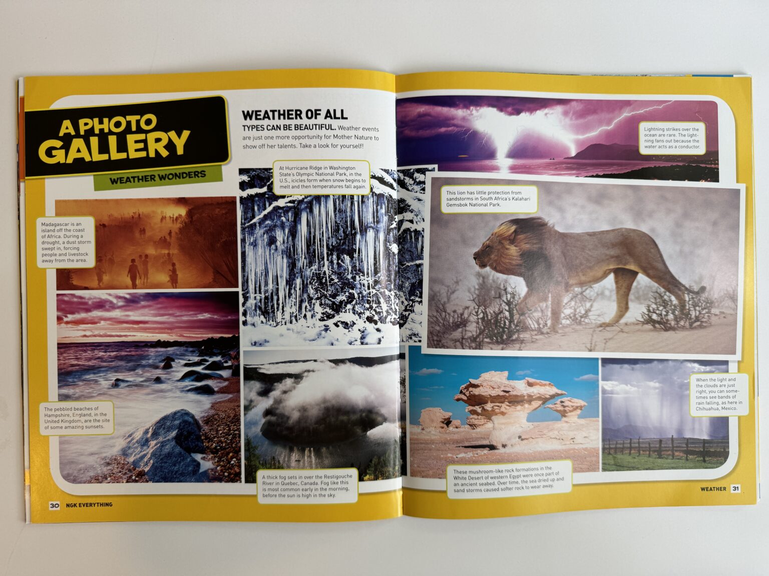 What Are Text Features? Examples and How To Teach Them