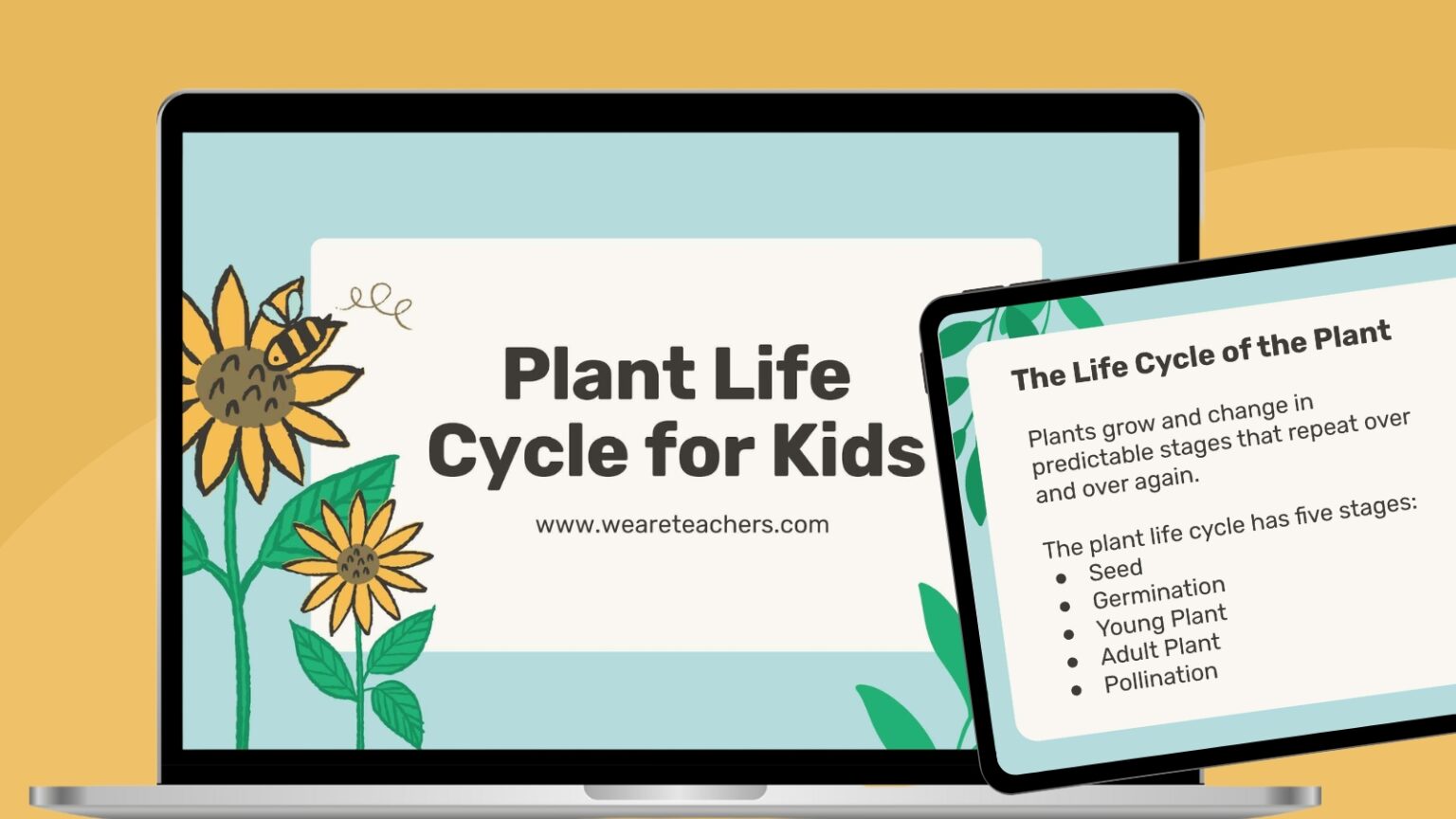 Plant Life Cycle: Classroom Resources and Free Google Slides