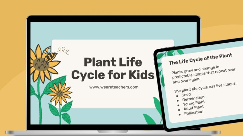 Plant Life Cycle: Classroom Resources and Free Google Slides