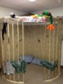 23 Jungle Classroom Theme Ideas - We Are Teachers