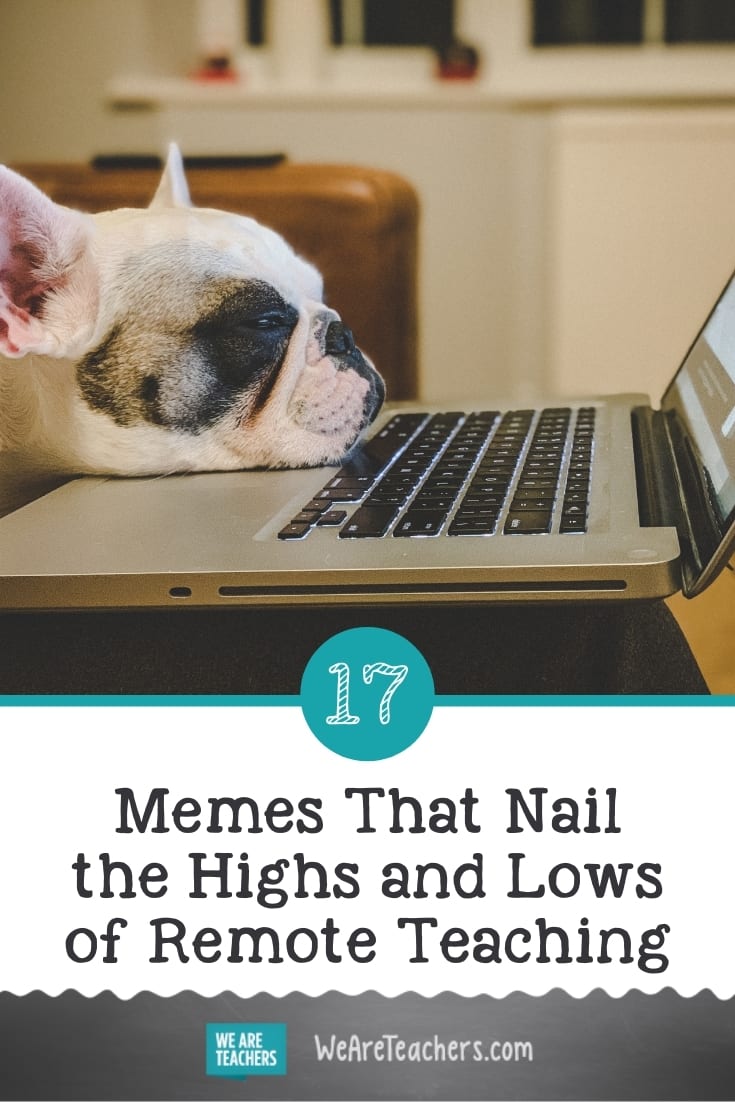 17 Memes That Nail the Highs and Lows of Remote Teaching