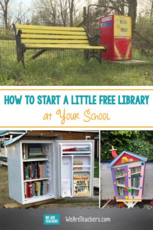 Little Free Library Ideas for Schools - WeAreTeachers