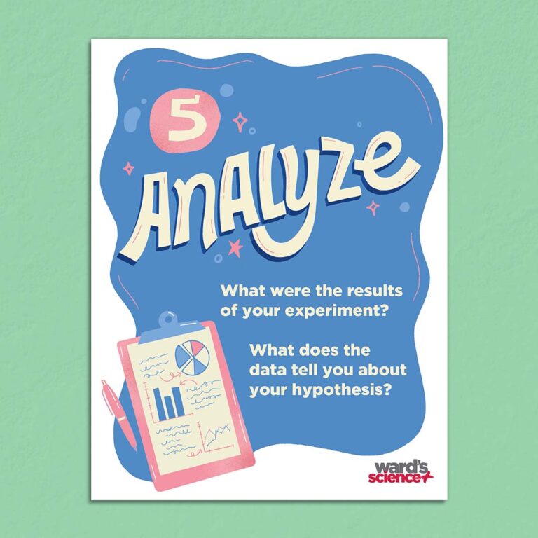 Scientific Method Posters: Free To Save and Print