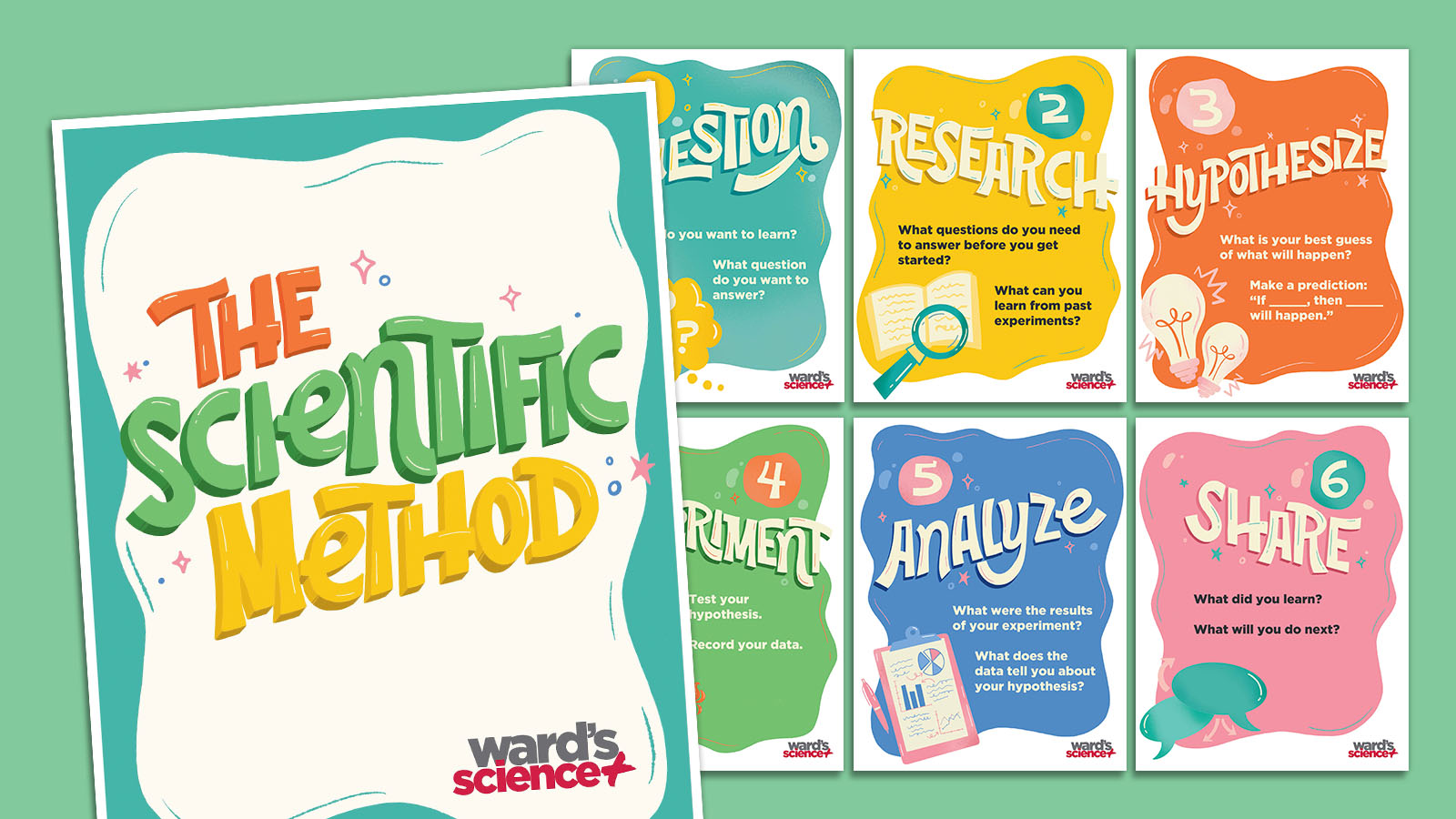 What Are the Scientific Method Steps?