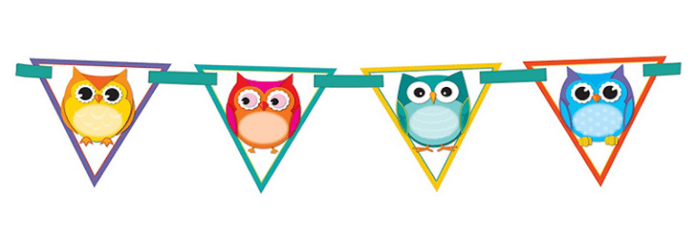 Owl-Themed Classroom Ideas - Classroom Bulletin Boards and Decor