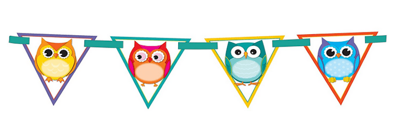 Owl-Themed Classroom Ideas - Classroom Bulletin Boards and Decor