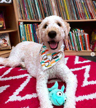 Dogs in the Classroom Improve SEL, Cognitive, and Even Reading Skills