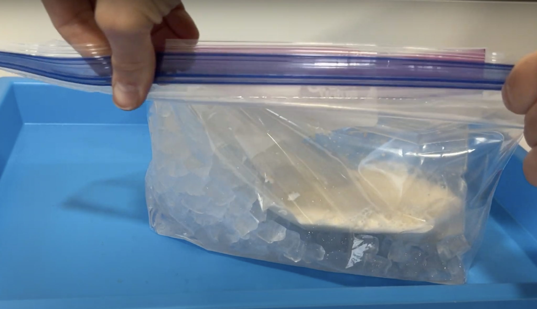 Ice Cream in a Bag Experiment: How-To Plus Free Worksheet