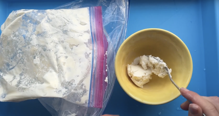 Ice Cream in a Bag Experiment: How-To Plus Free Worksheet