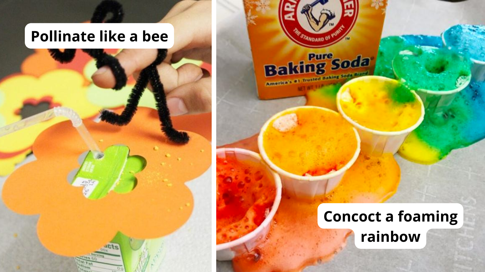 Second Grade Science