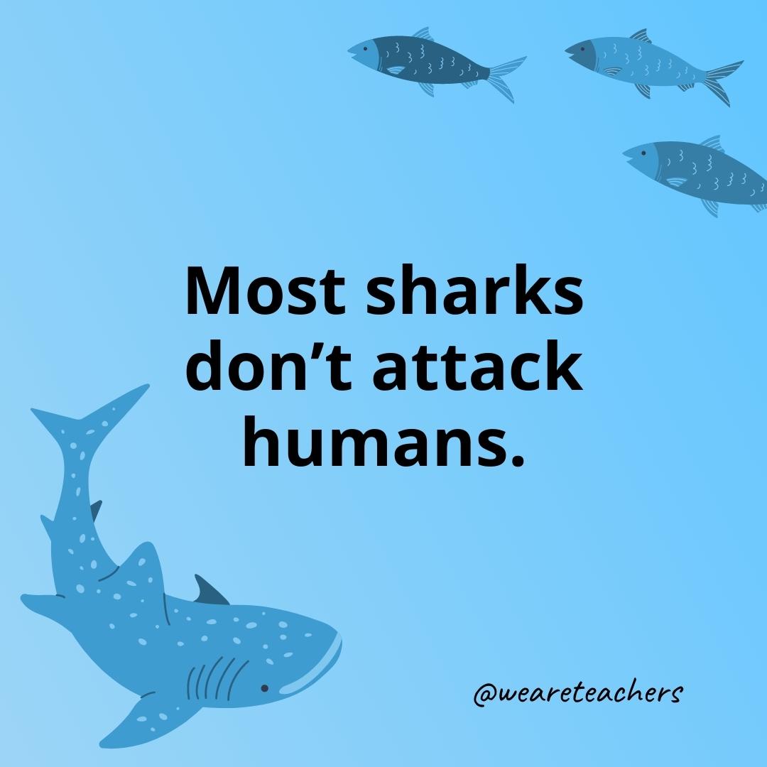 Facts About Sharks for Kids That Will Fascinate Your Students