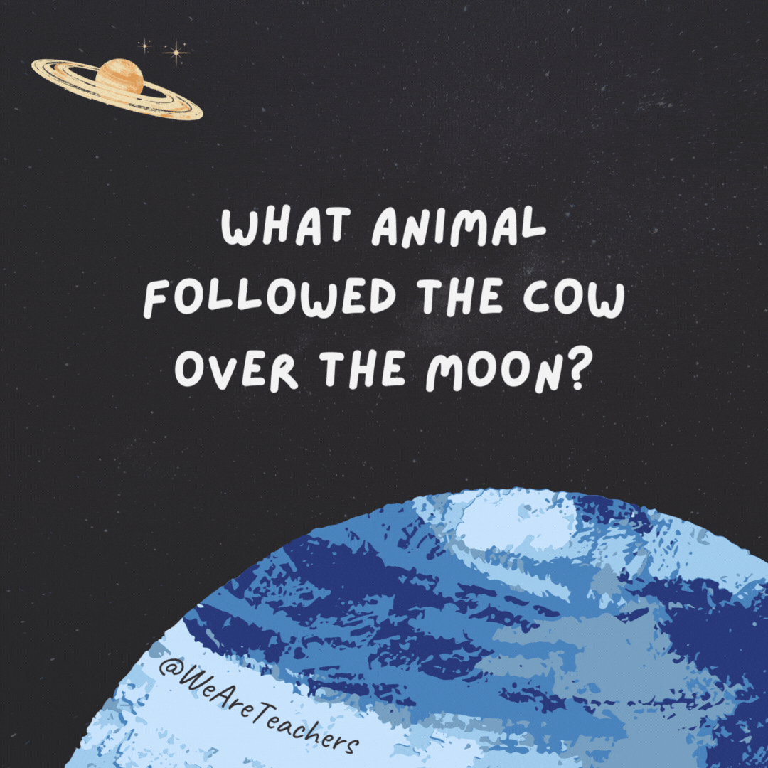 80 Space Jokes That Will Have You Over The Moon 80 Space Jokes That Will Have You Over The Moon