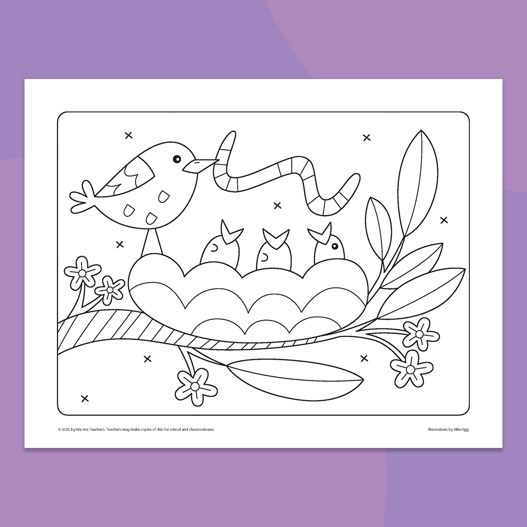 Spring Coloring Pages: Free Download - We Are Teachers
