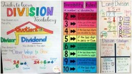 40 Smart Activities and Ideas for Teaching Division | WeAreTeachers