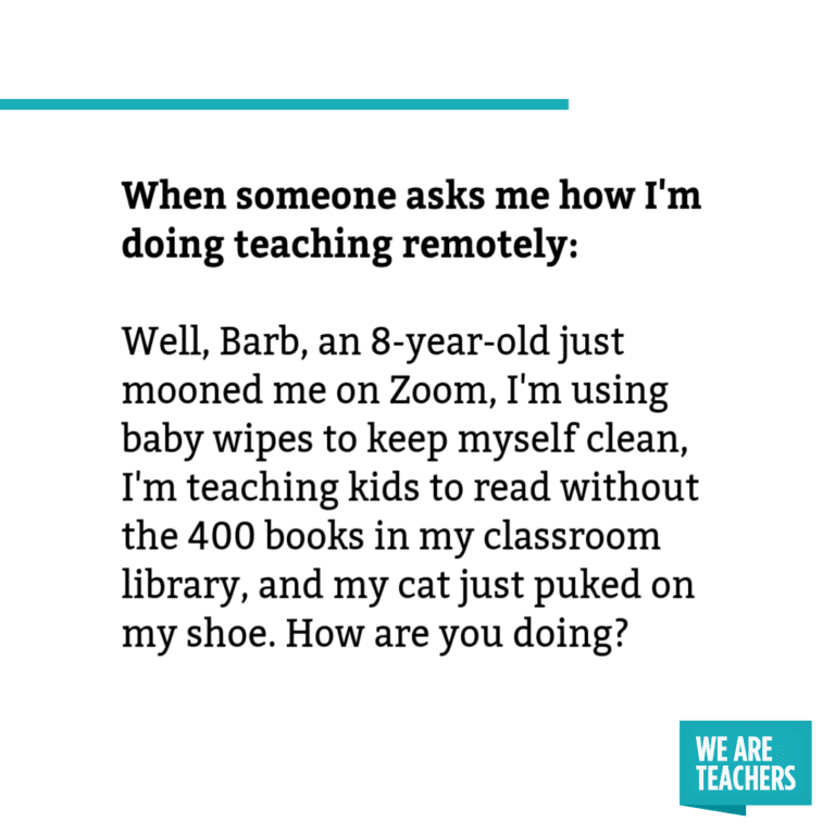 17 Memes That Nail the Highs and Lows of Remote Teaching