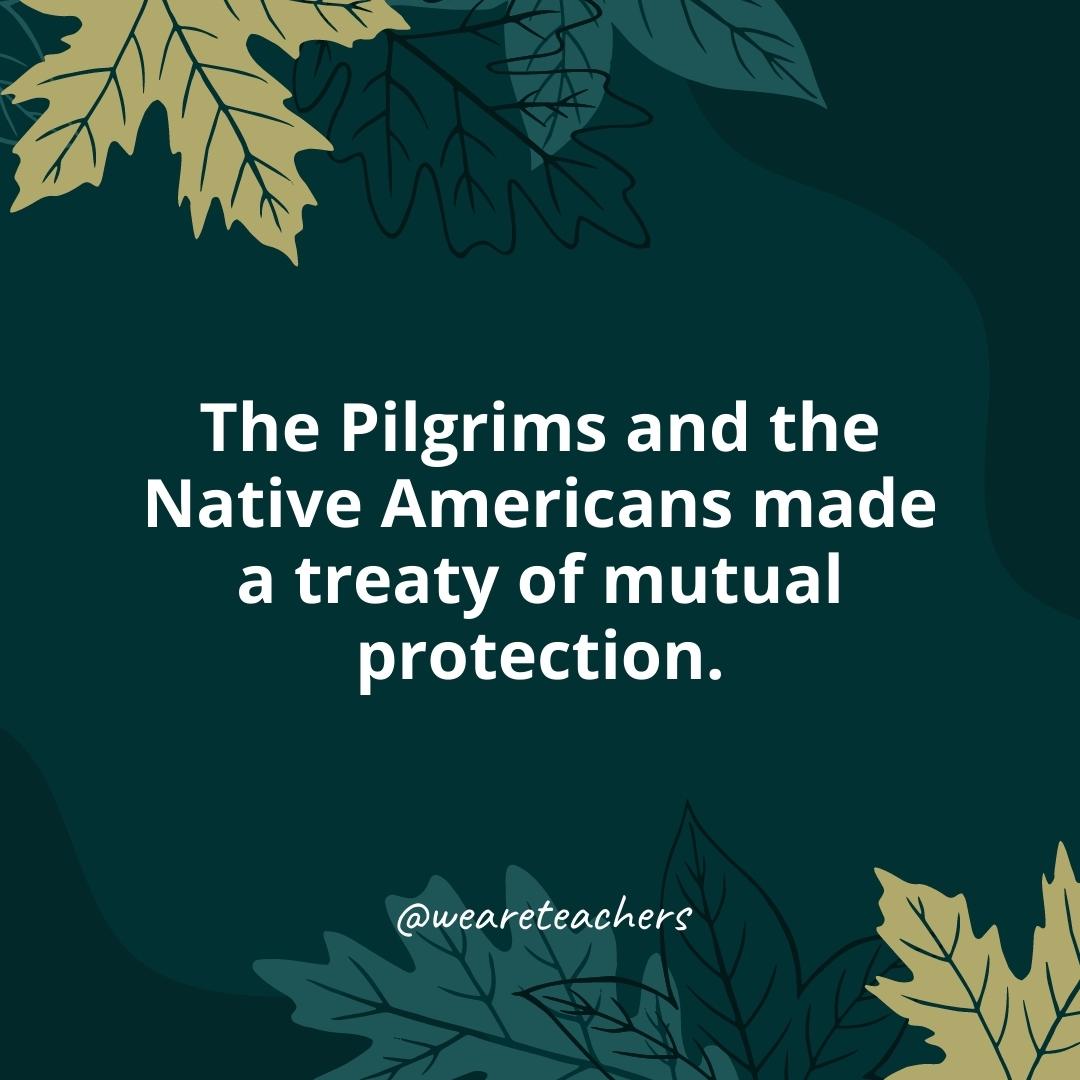 33 Thanksgiving Facts Everyone Should Know