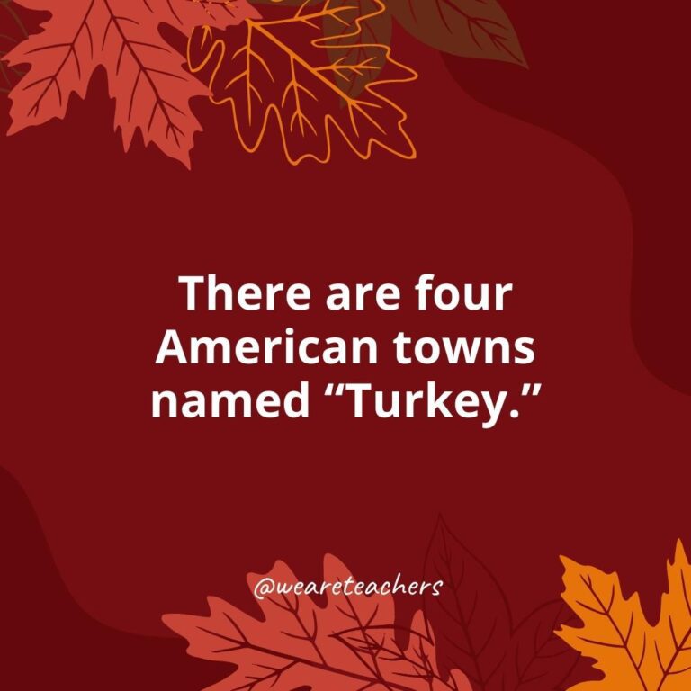 33 Thanksgiving Facts Everyone Should Know