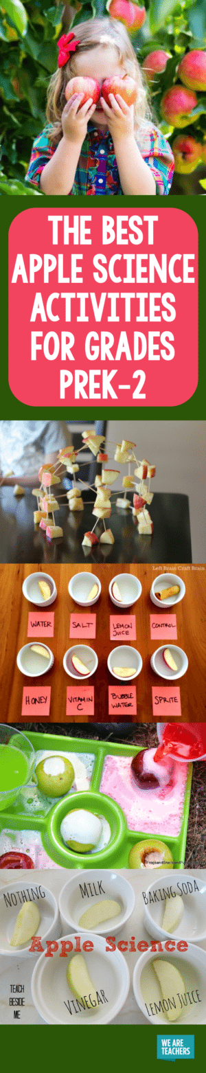 The Best Apple Science Activities for Grades PreK-2 - We Are Teachers