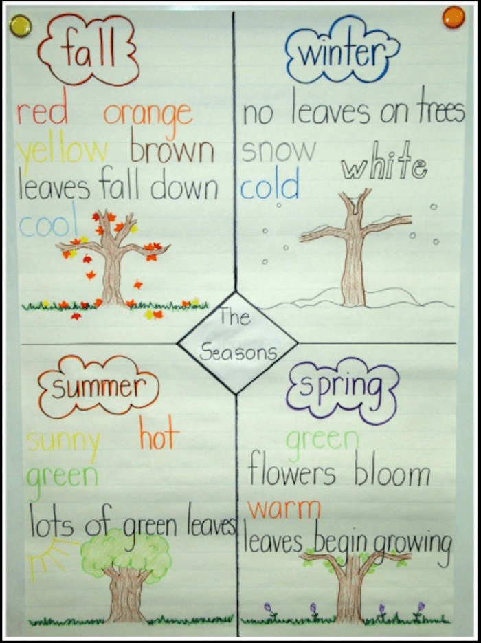 22 Awesome First Grade Anchor Charts That We Can't Wait to Use - We Are ...