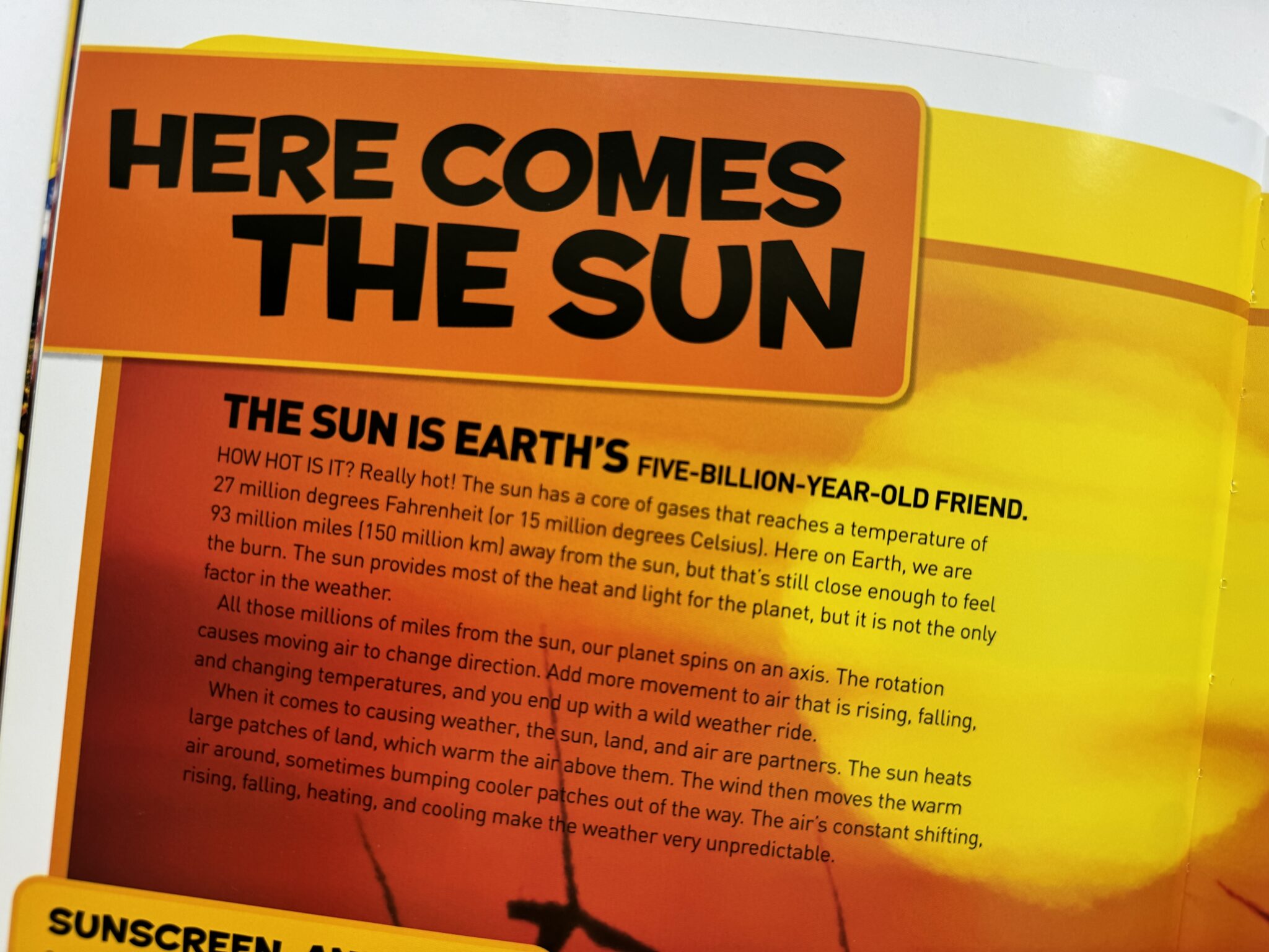 What Are Text Features? Examples and How To Teach Them