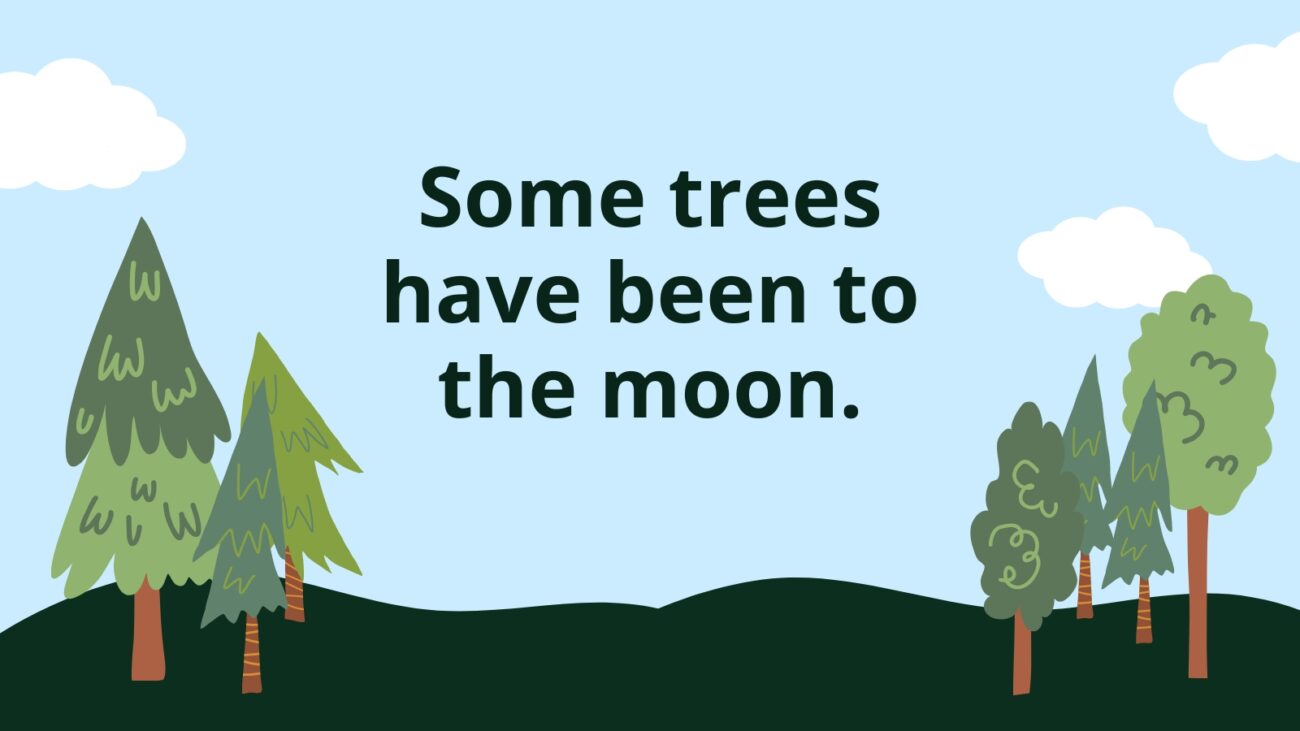 55 Fascinating Facts About Trees for Kids