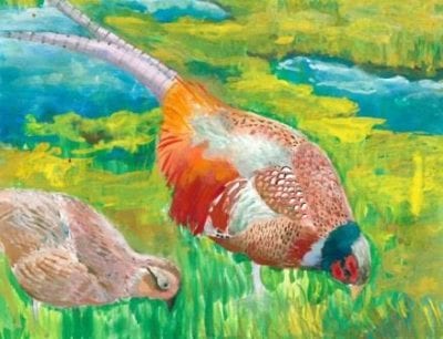 The IFAW World of Animals Art Contest - We Are Teachers